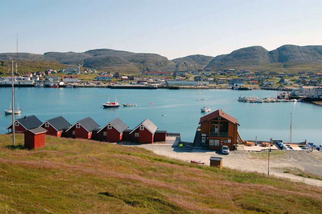 Adventure Camping Mehamn - Nordic Safari Wildlife